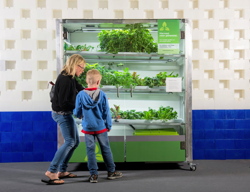 VH Hydroponics | Alaska Small Business Development Center
