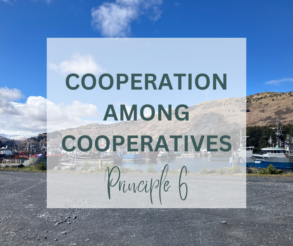 The 7 Cooperative Principles: What Makes Co-ops Special